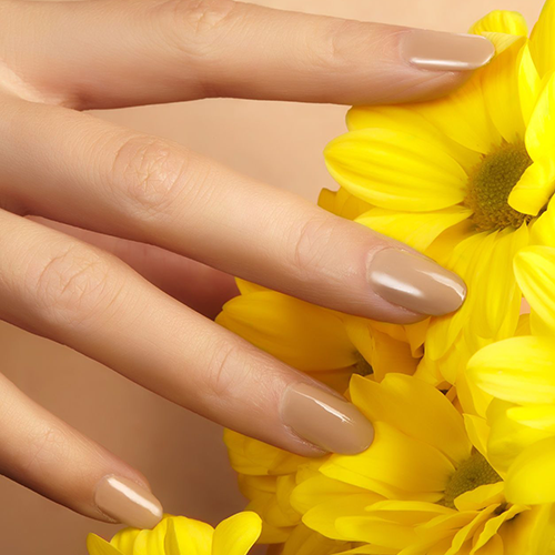 Gallery Nail Salon 75482 TJ Nails Sulphur Springs TX 75482 Gallery Nail Salon 75482 TJ Nails Sulphur Springs TX 75482
