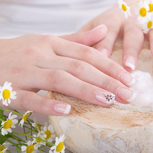 Nail Salon 75482 TJ Nails Sulphur Springs TX 75482 Best Nail Salon Nail Salon 75482 TJ Nails Sulphur Springs TX 75482 Best Nail Salon